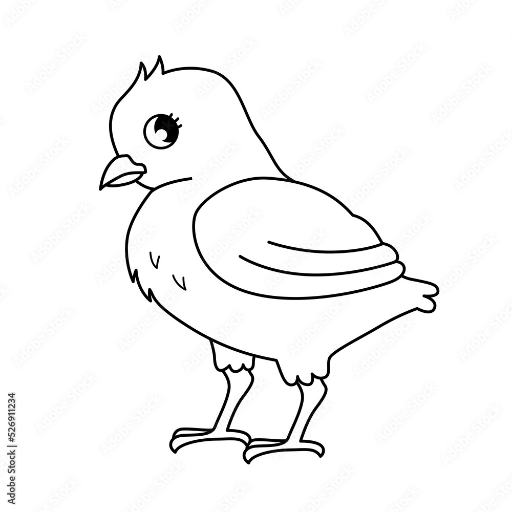 Vector outline illustration of cartoon cute chick isolated on white ...