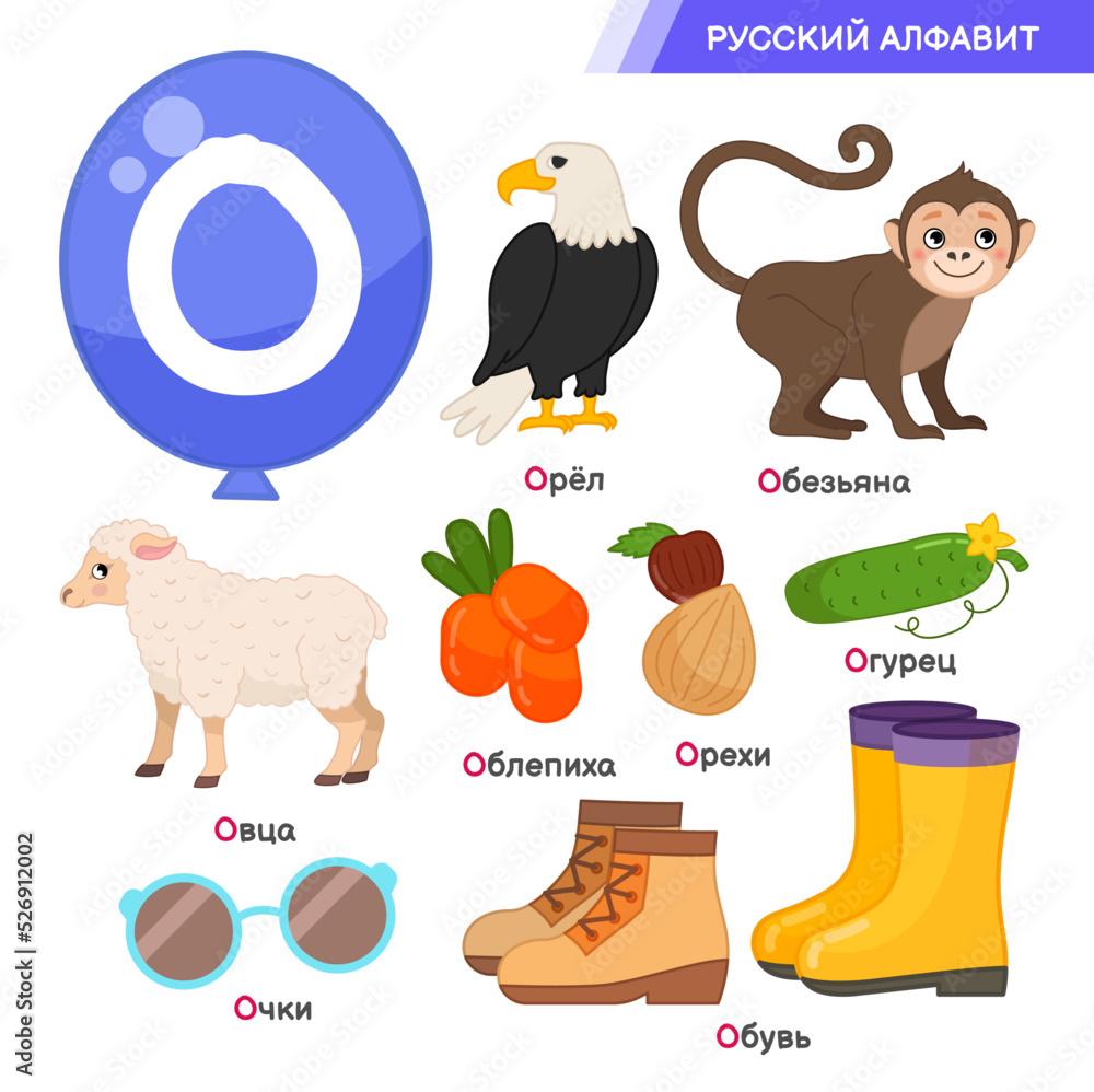 Vector education material Russian Alphabet letter O. Set of cute ...