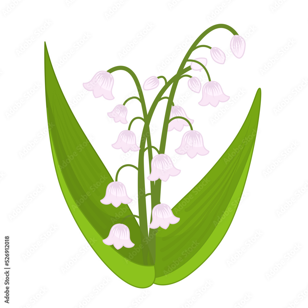Vector cartoon illustration of lily of the valley isolated on white ...