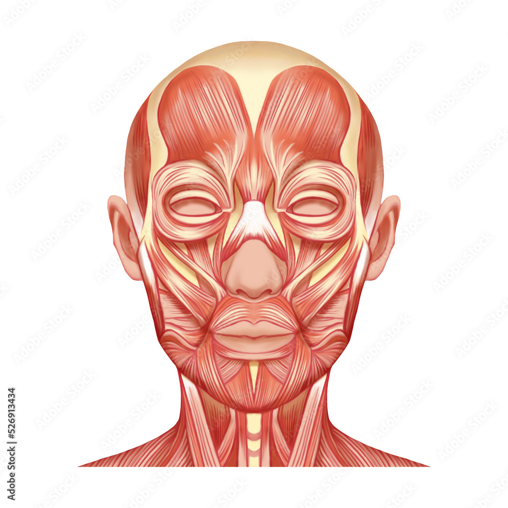 線画なし 厚塗り – 厚塗り イラスト 線なし – NSHZU