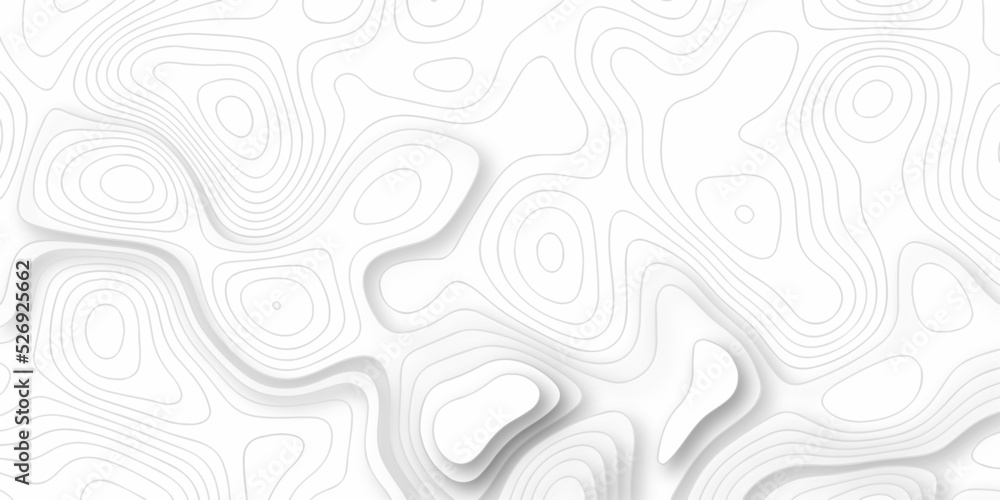 abstract vactor white lines pattern and Topographic and maunt,river,sea ...