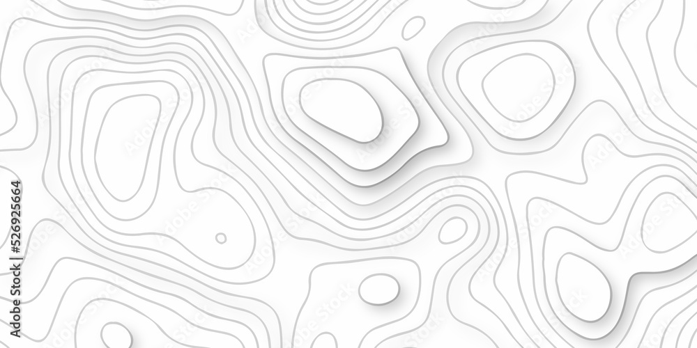 abstract vactor white lines pattern and Topographic and maunt,river,sea ...