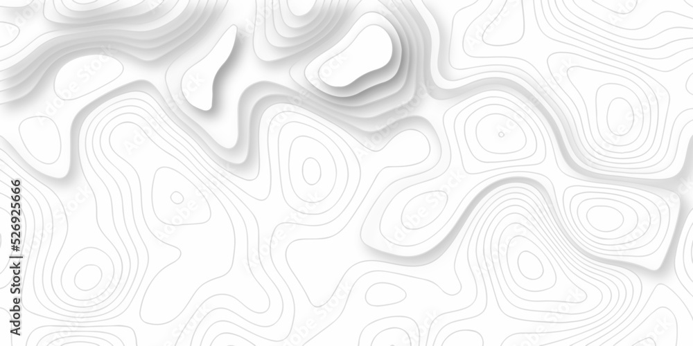 abstract vactor white lines pattern and Topographic and maunt,river,sea ...