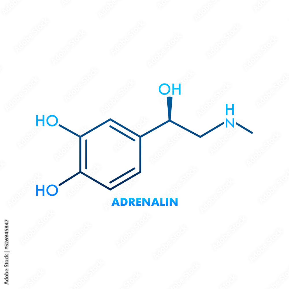 Adrenaline or adrenalin, epinephrine neurotransmitter molecule ...