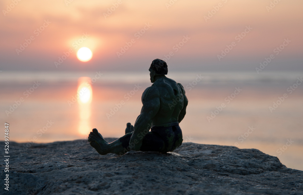 Hulk, the comics hero character toy was located laying at the rocky ...
