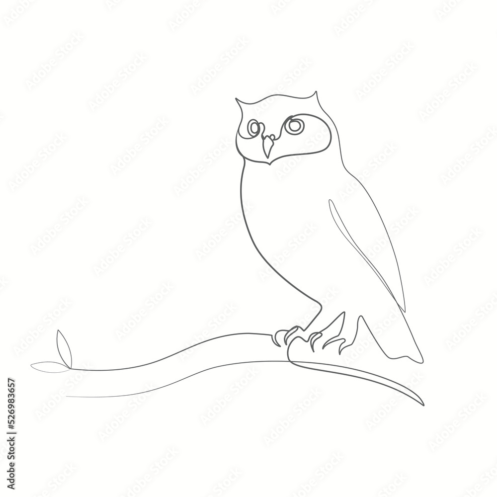 Abstract Owl Drawing