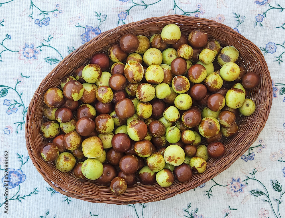Fruits of Common jujube (Ziziphus jujuba) for fresh consumption Stock ...