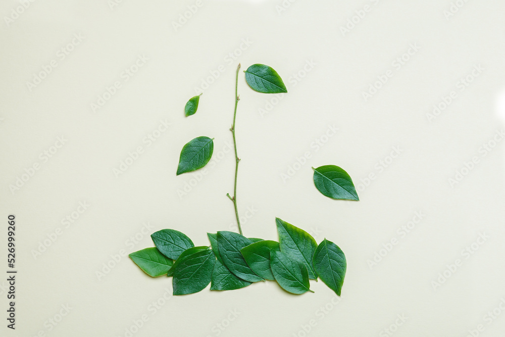 Tree loosing green leaves, crying, emotion and depression concept ...