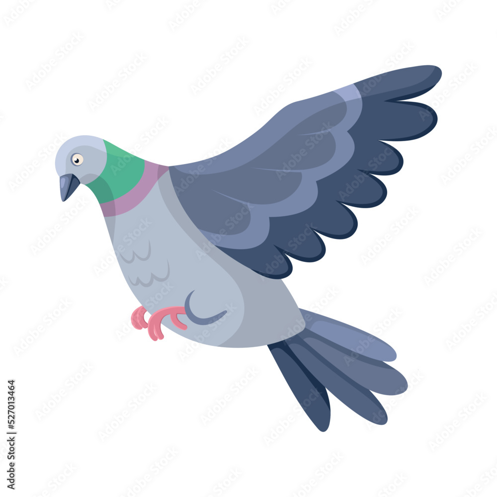Cartoon pigeon in flight in flat style. Cute colorful city bird ...