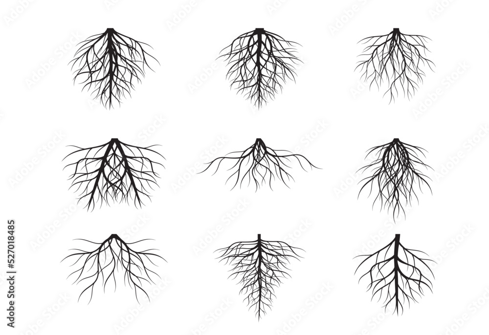 A set of black Tree Roots. Vector outline Illustration. Plant and ...