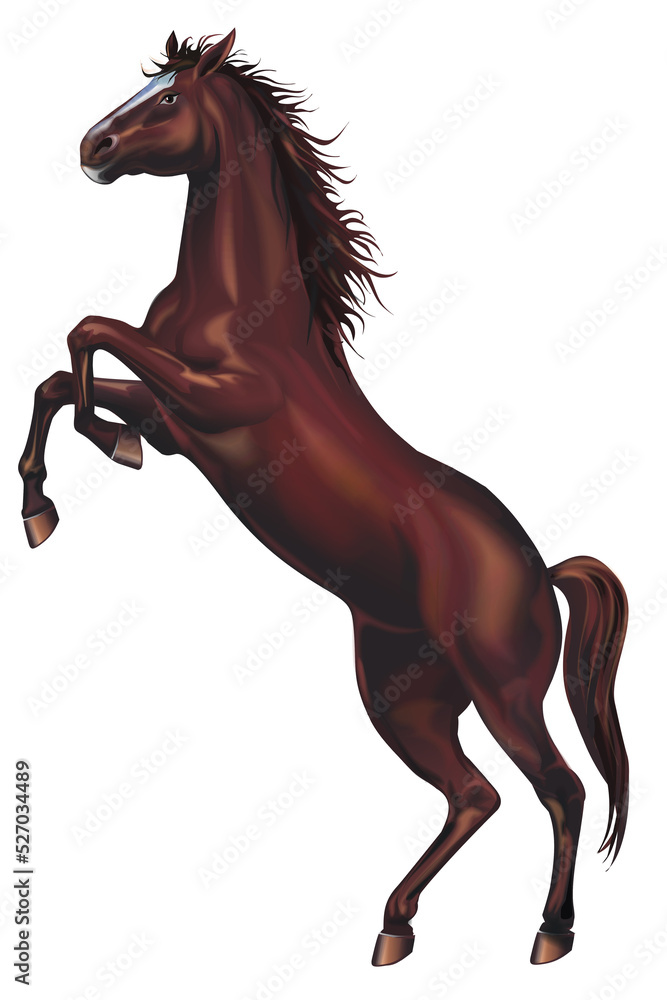 Wild Horse PNG. Brown Rearing Mustang Isolated on Transparent ...