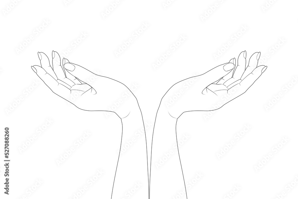 hand gestures linear drawing Two hands holding up something precious ...