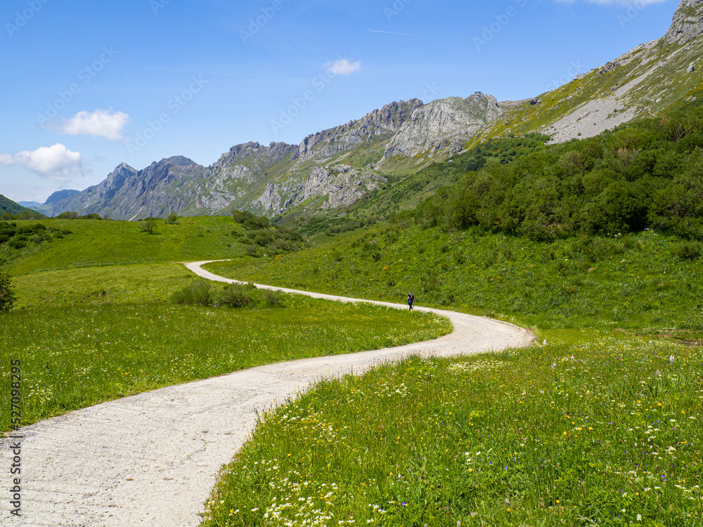 Vistas de una persona caminando por un sendero de montaña con curvas ...