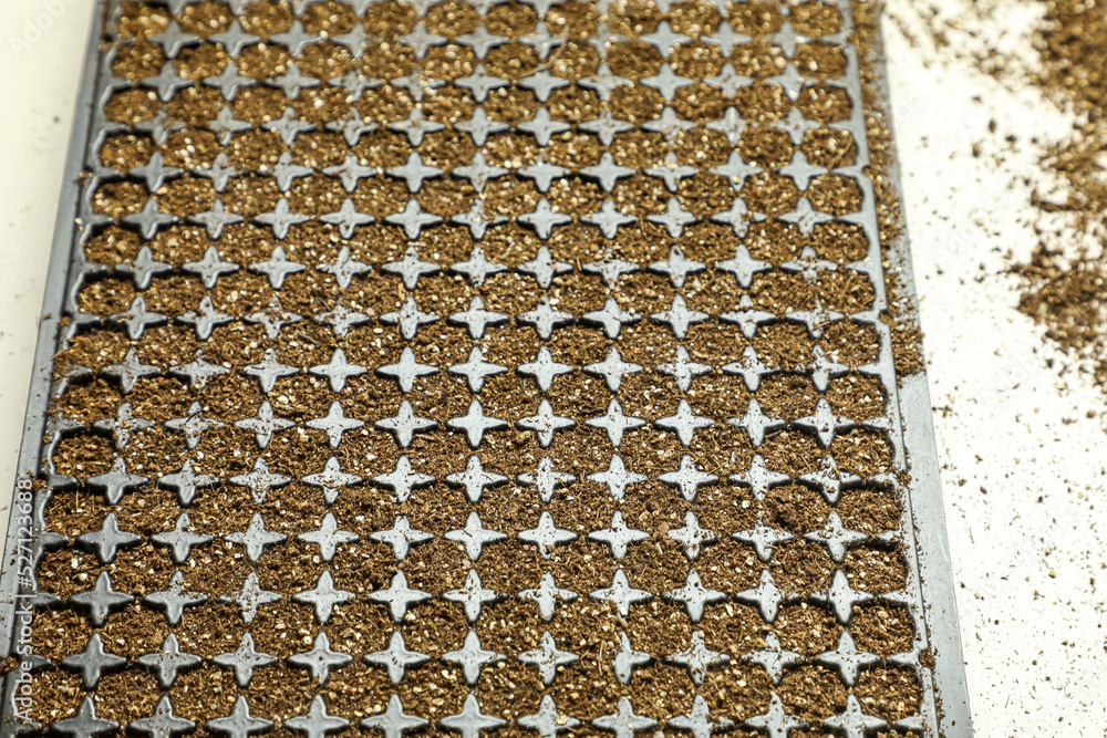 Plastic tray used for planting seedlings of flowers or vegetables, with ...