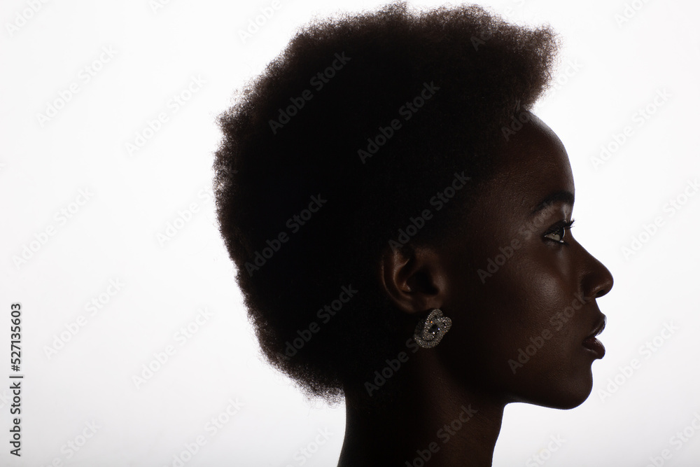 Close up profile portrait of black african american woman with afro ...