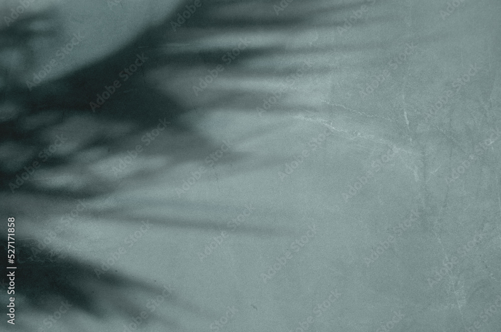 wall textures with nature shadows overlays Stock Photo | Adobe Stock