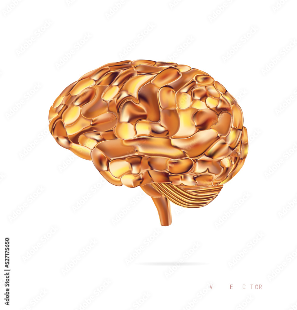 Gold brain isolated On White Background, vector. Mesh Stock Vector ...