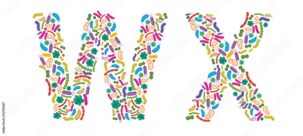 Vector alphabet W X made of Bacteria isolated on white background ...
