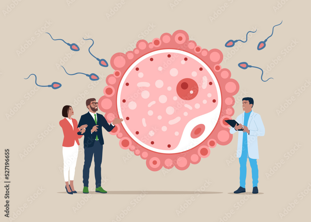 Vecteur Stock Young couple consulting reproductive doctor, ovum ...