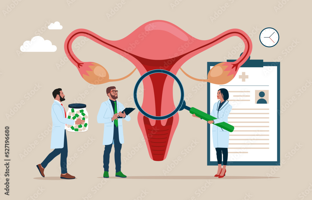 Medical specialists studying donor inner organ. Female doctor using ...