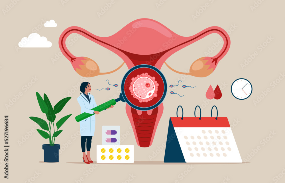 Woman doctor making uterus examination. Abstract concept of gynaecology ...