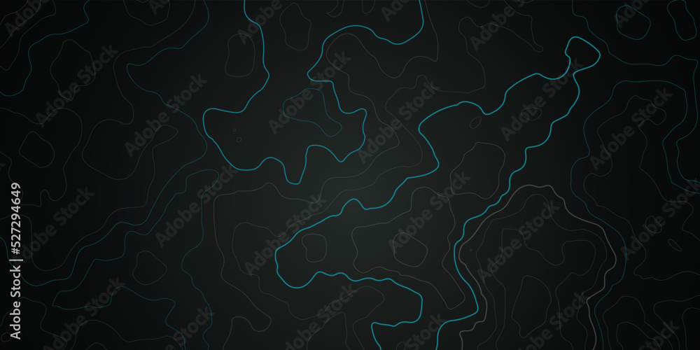 Top View Of The Mountain Range Vector Detailed Topographic Contour Map ...
