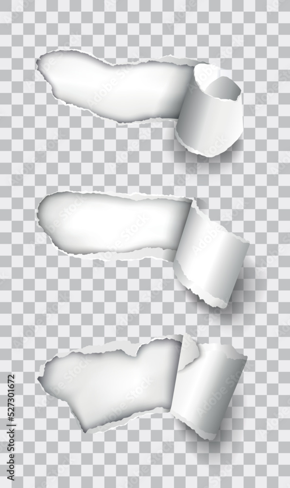 Vector set of realistic torn paper holes with rolled edge on ...