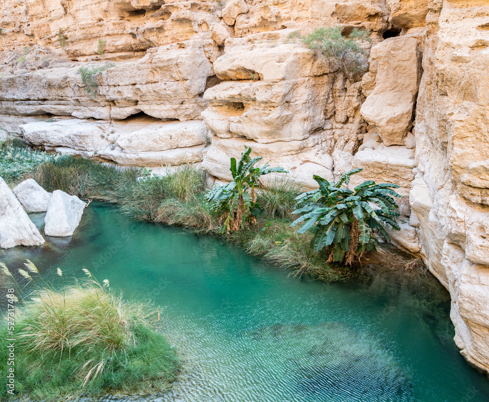 One natural pool in the canyon of the famous and touristic Wadi Shab ...