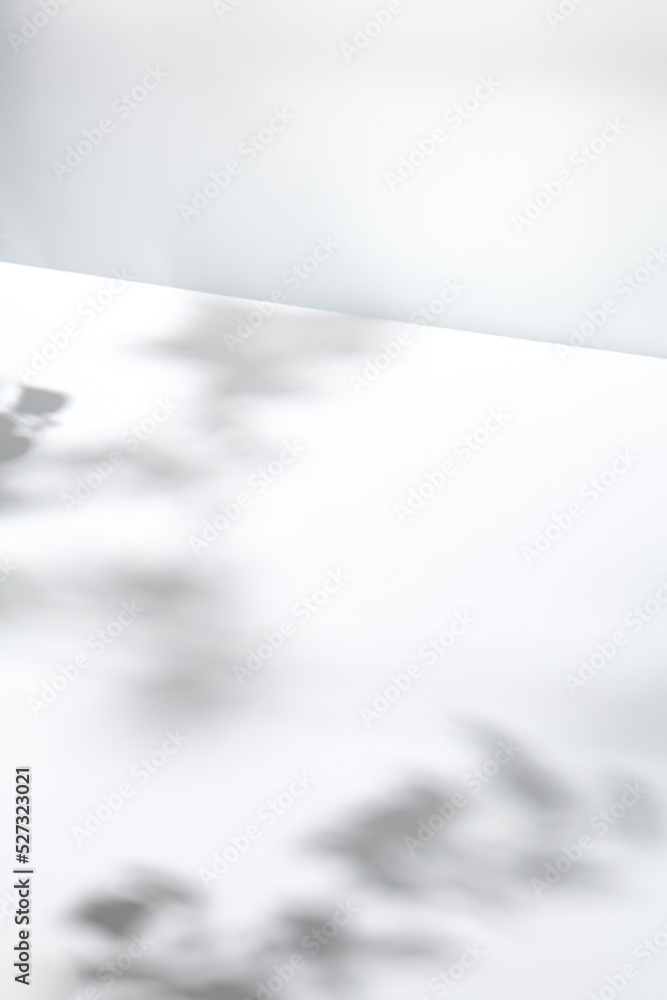 Light background with harsh shadows of tree branch. Aesthetic white ...