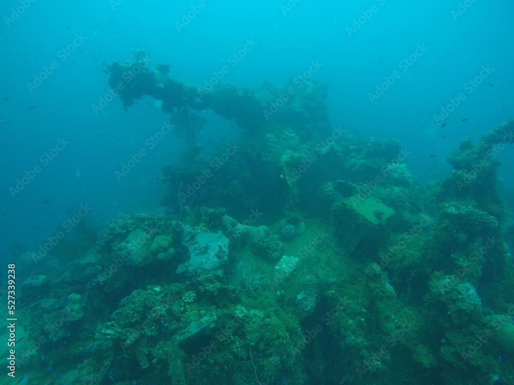Famous wreck ship Fujikawa maru in Truk lagoon. Stock Photo | Adobe Stock