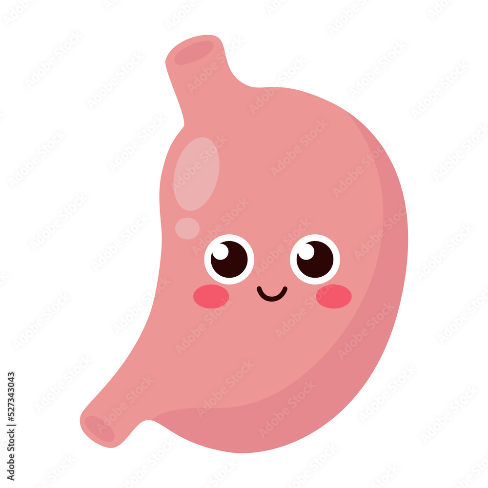 cute and funny Human stomach anatomy icon. flat cartoon characters ...