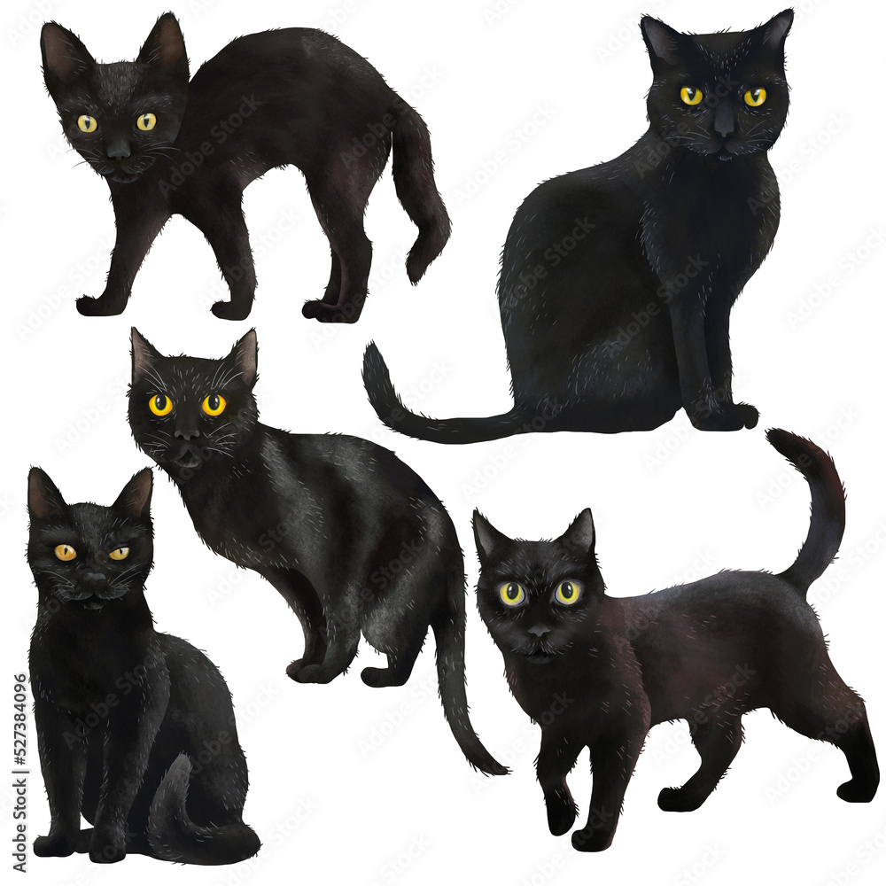 Black cats set isolated on PNG transparent background, cats in ...