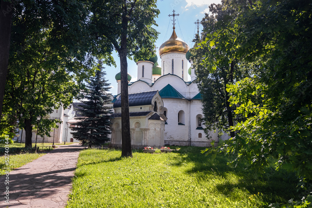 Cathedral of the Transfiguration of the Lord in the Spaso-Evfimiev ...