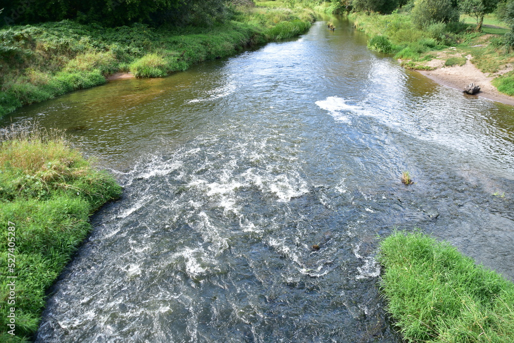 rzeka, Czarna Nida, woda, potok, zieleń Stock Photo | Adobe Stock