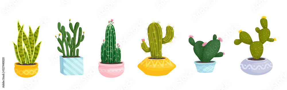 Collection of flowering cacti and succulents in ceramic pots.Cartoon ...