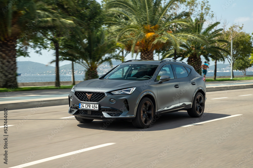 Cupra Formentor is a compact crossover SUV manufactured by the Spanish ...