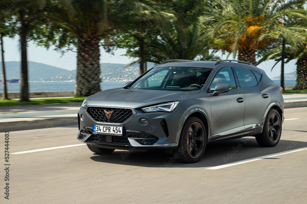 Cupra Formentor is a compact crossover SUV manufactured by the Spanish ...
