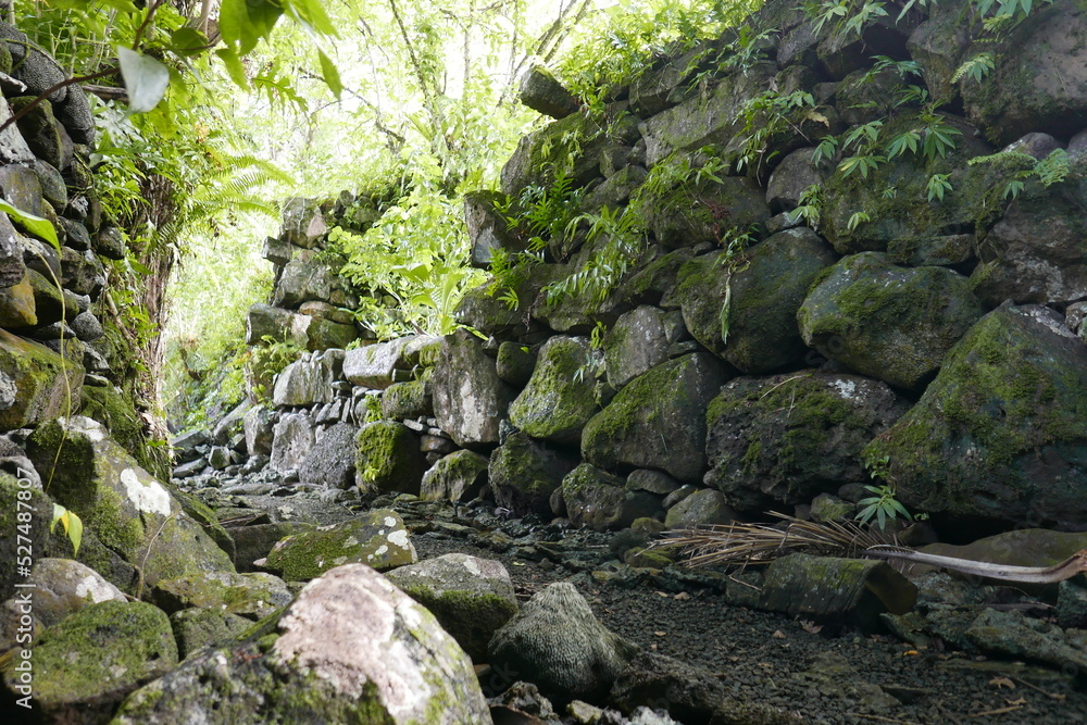 Foto de Lelu Ruins Historic Park at Kosrae, Federated States of ...