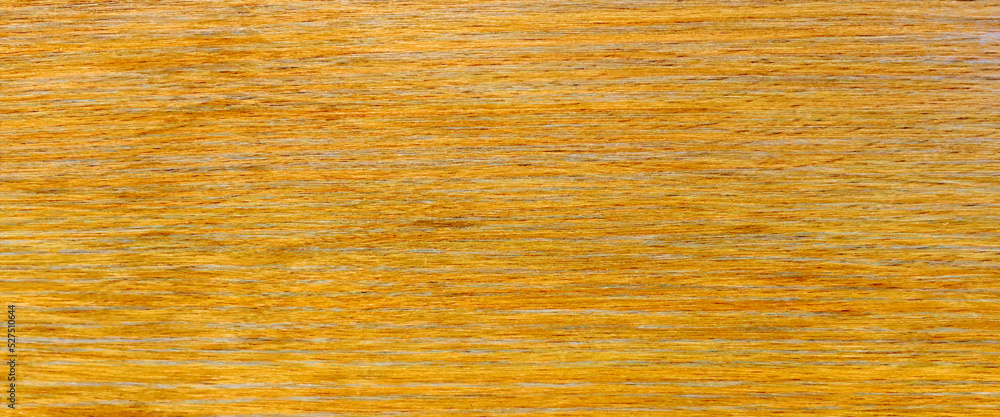 Wood oak tree close up texture background. wooden floor or table with ...