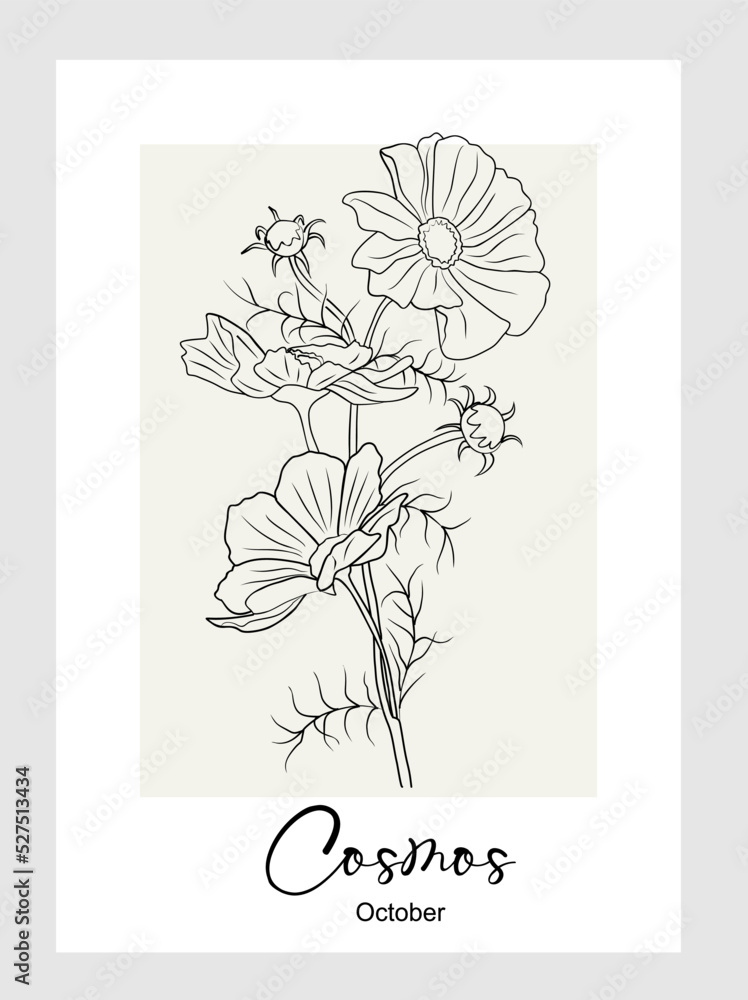 Cosmos flower line art vector illustration. Hand drawn botanical black ...