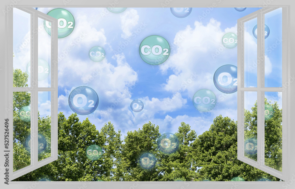 Tree canopy against a sky background with oxygen O2 and carbon dioxide ...