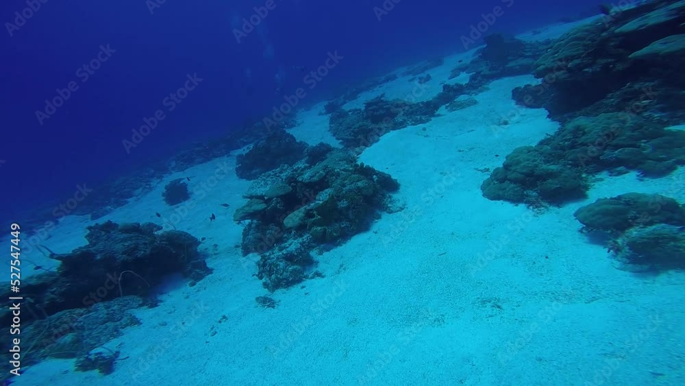 Kuop atoll in Truk lagoon, Chuuk also known as Neoch atoll and ...