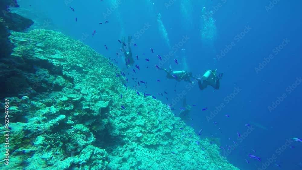 Kuop atoll in Truk lagoon, Chuuk also known as Neoch atoll and ...