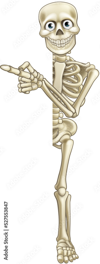 Cartoon Skeleton Pointing Stock Illustration | Adobe Stock
