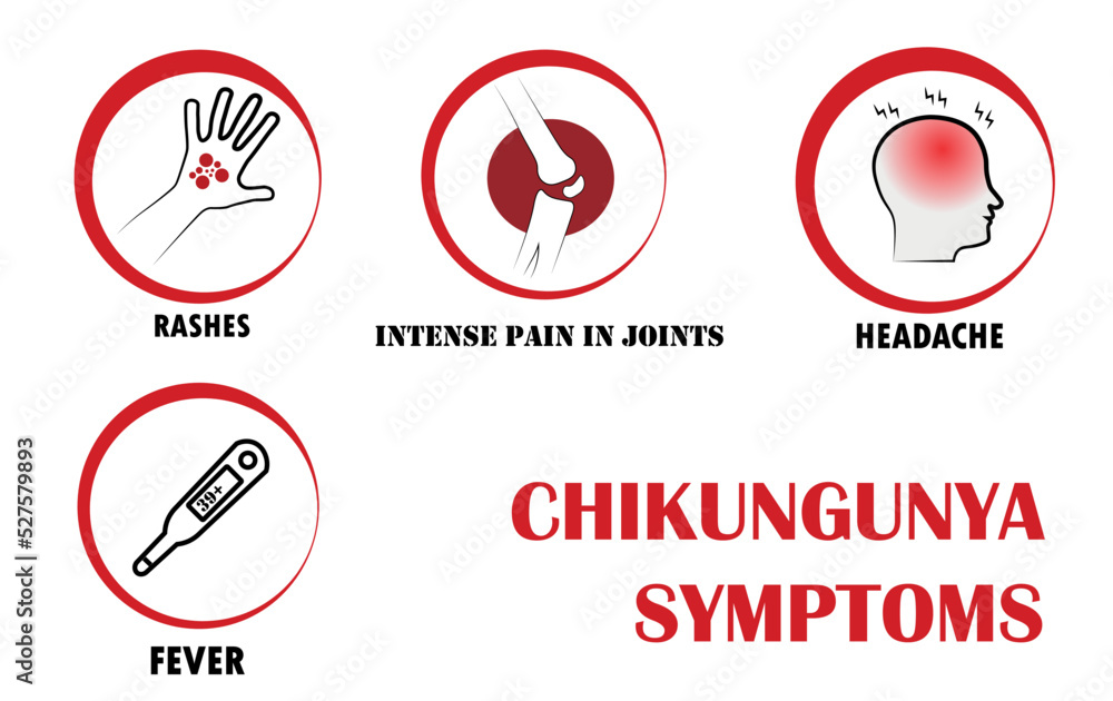 Chikungunya symptoms, Pictograms with names of individual symptoms ...