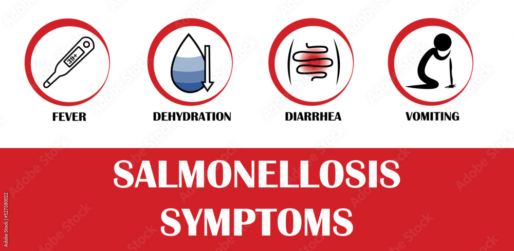 Salmonella symptoms, Pictograms with names of individual symptoms Stock ...