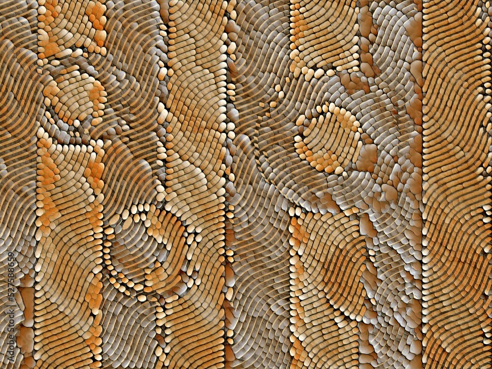 natural stone pebble pictured patterns and design Stock Illustration ...