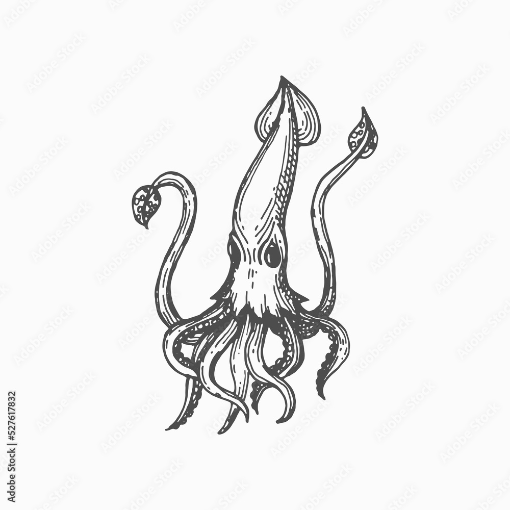 Poster Giant hooked squid isolated marine animal mollusk monochrome ...