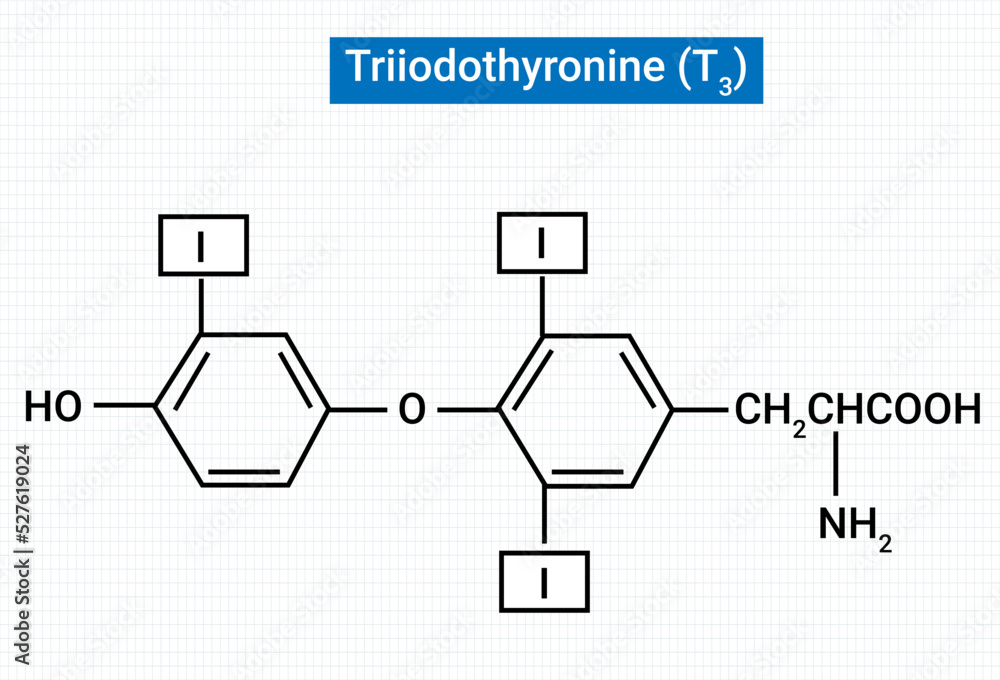 Triiodothyronine, also known as T3, is a thyroid hormone Stock Vector ...