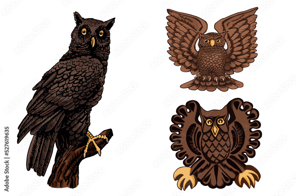 Vector color set of owls isolated on white background, graphical brown ...